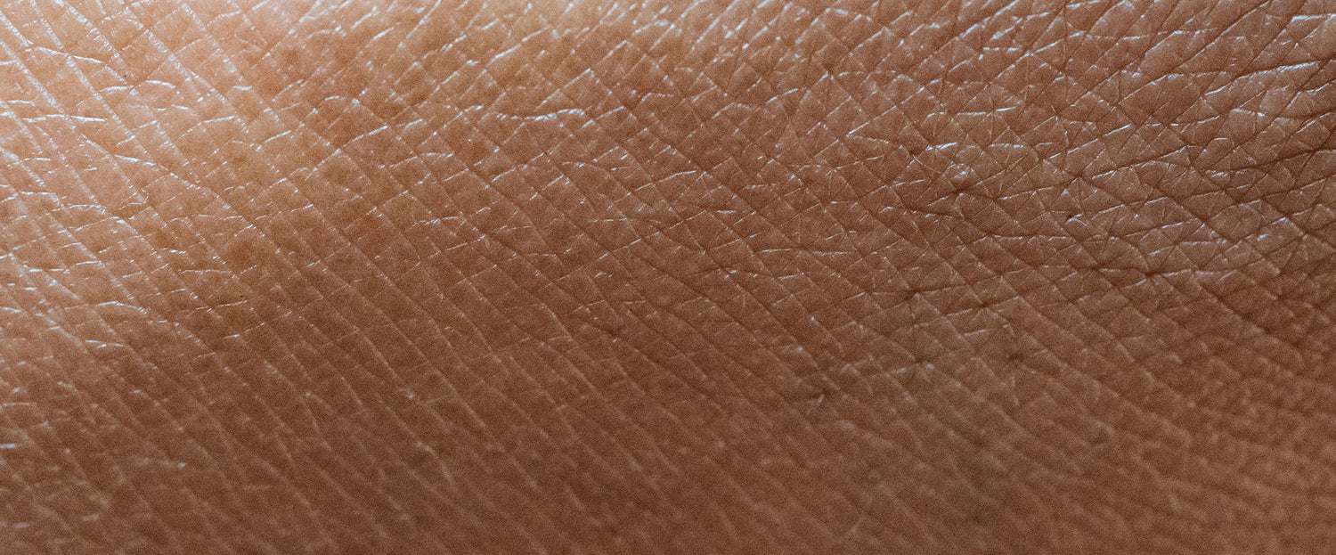 Is your skin taking it all in? | By Dr. Elsa Jungman for Credo Beauty