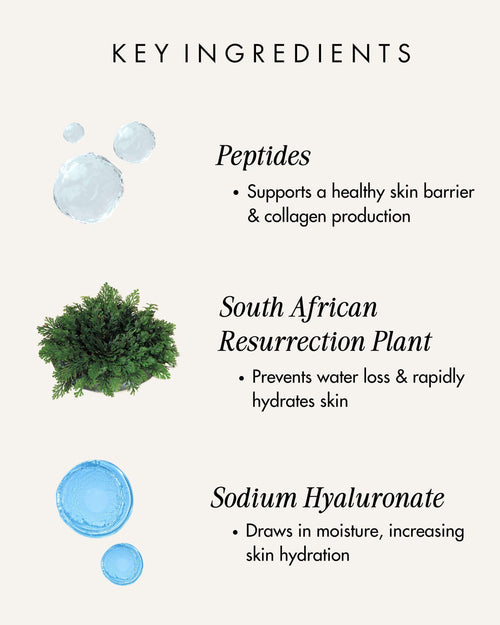 Barrier Repair Cloud Cream – Credo