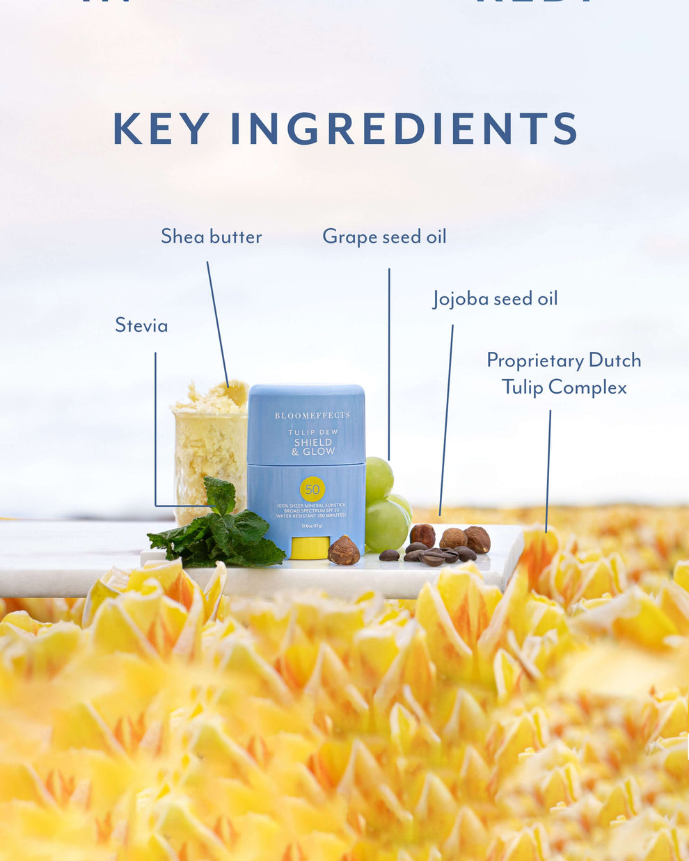 Tulip Dew Shield & Glow 100% Sheer Mineral Sunstick SPF 50 – Credo