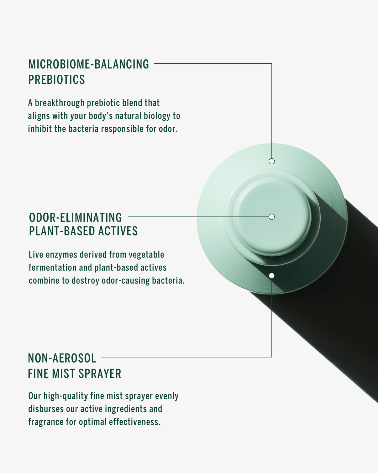 Cedar Flora Spray Deodorant – Credo