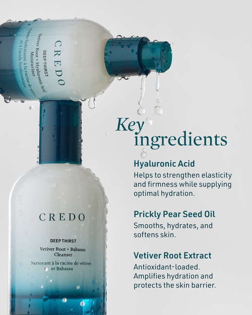 Deep Thirst Vetiver Root + Hyaluronic Acid Moisturizer for Dry Skin – Credo