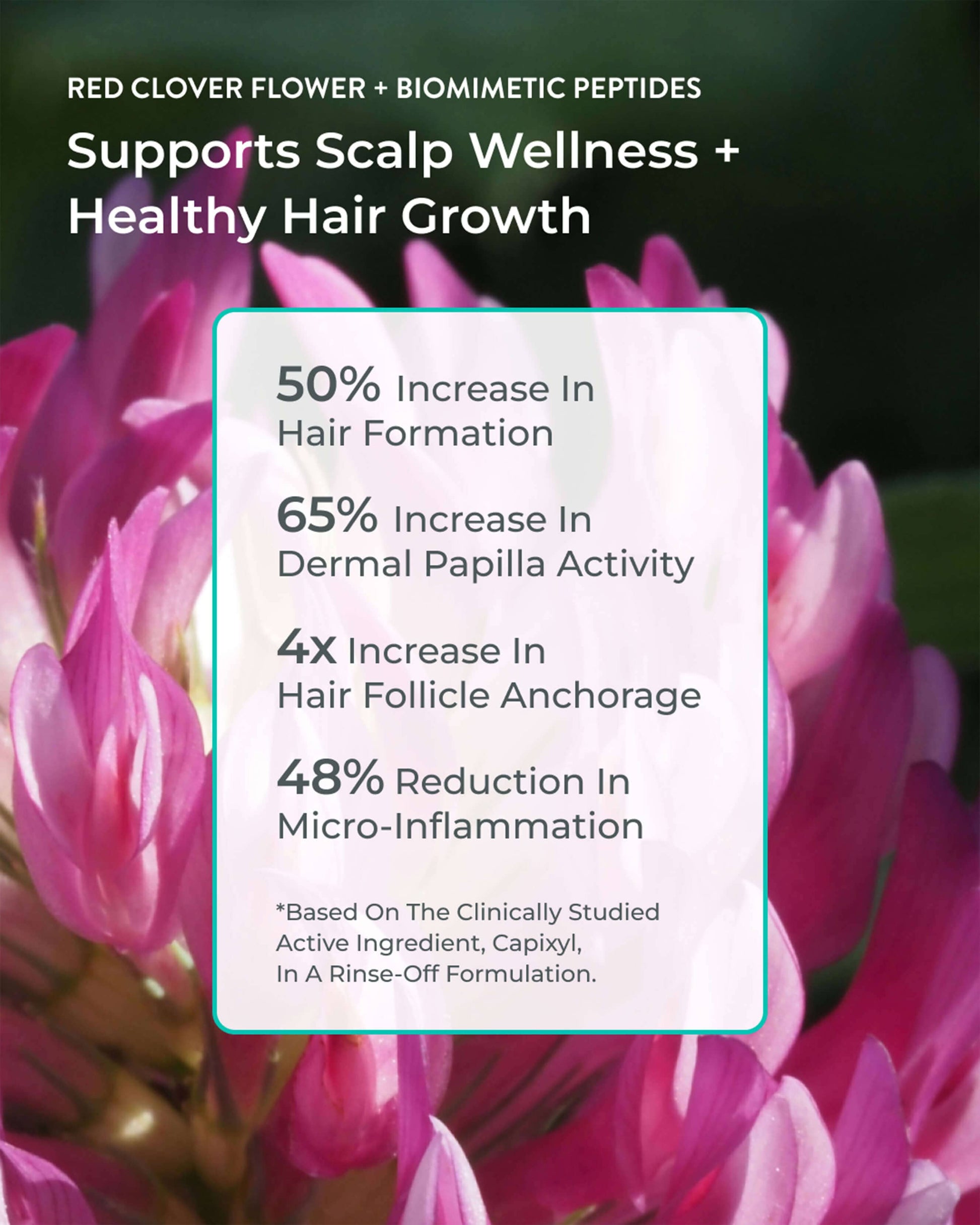 Better Roots Growth Support Shampoo – Credo