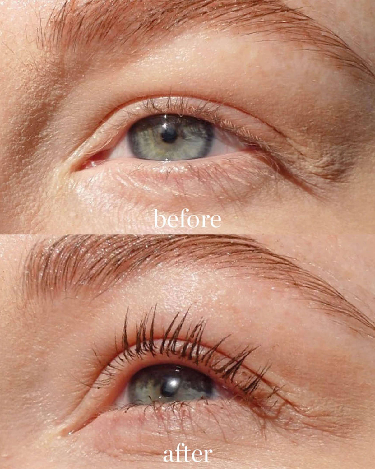 Ere Perez Avocado Waterproof Mascara - Clean, Natural Mascara – Credo