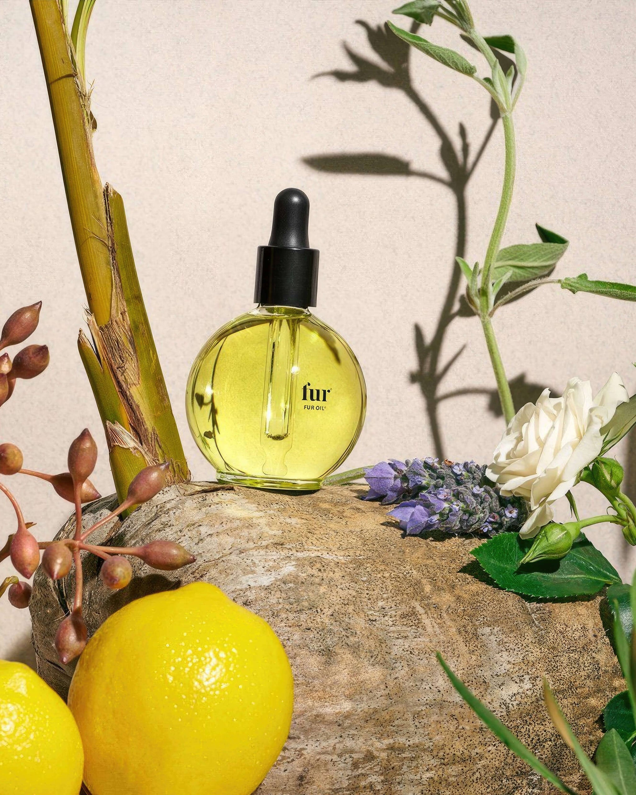 Fur Oil - Clean, Natural Hydrating Body and Facial Hair Oil by Fur – Credo
