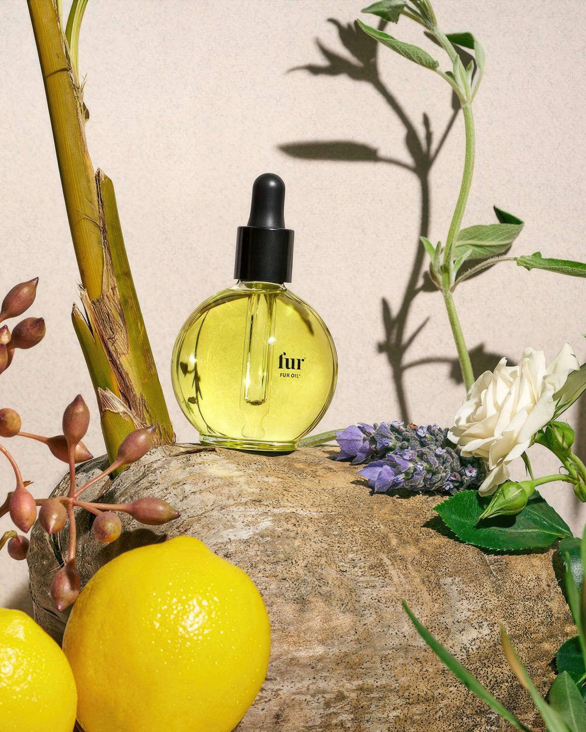 Fur Oil - Clean, Natural Hydrating Body and Facial Hair Oil by Fur – Credo