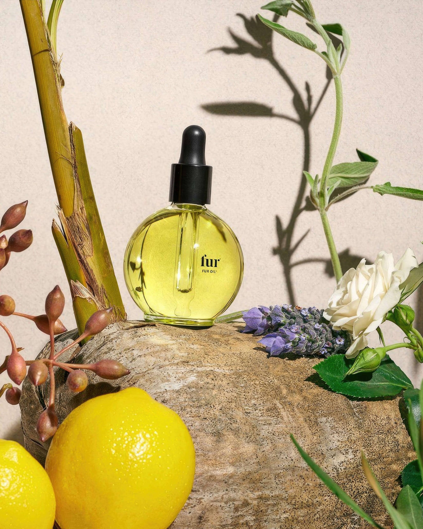 Fur Oil - Clean, Natural Hydrating Body and Facial Hair Oil by Fur – Credo