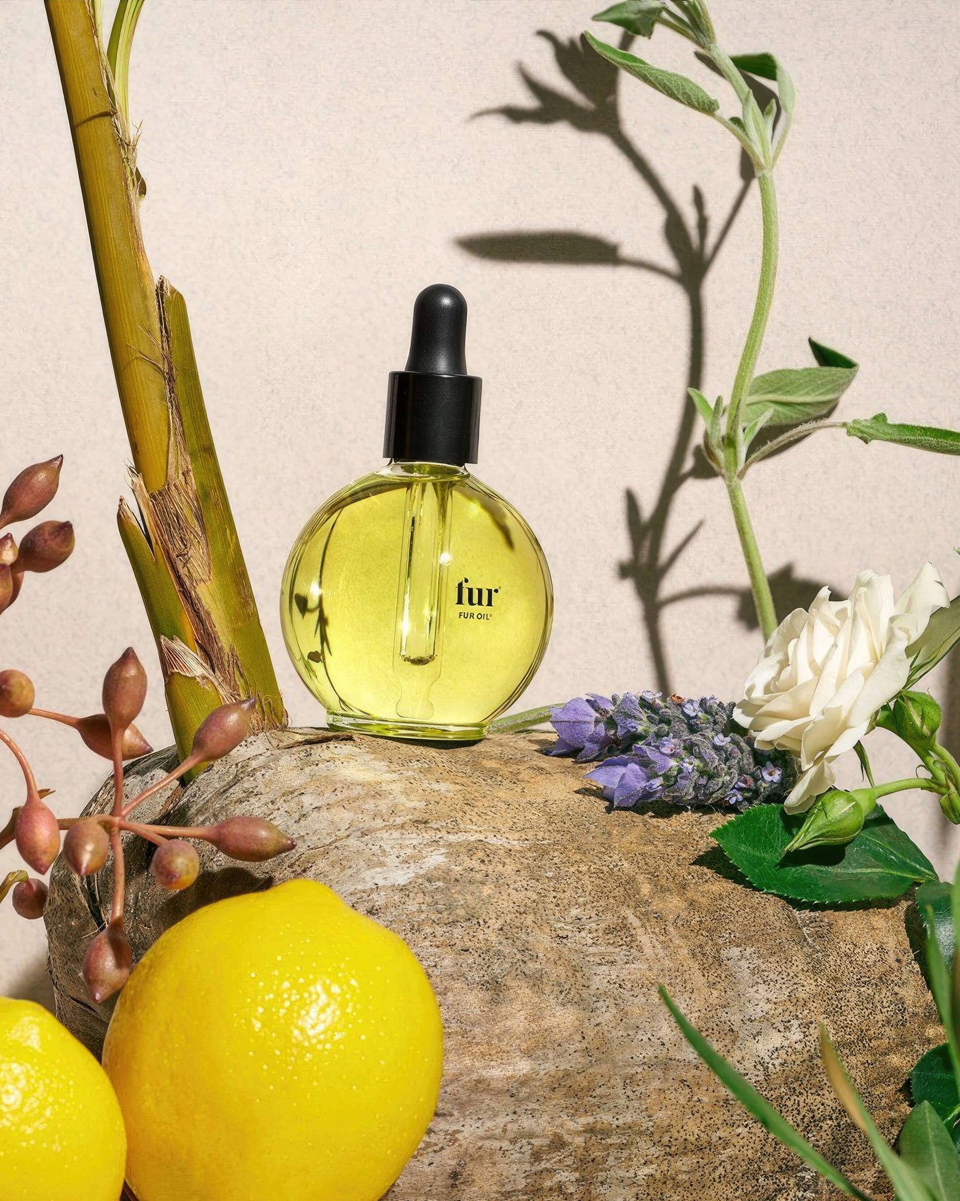 Fur Oil - Clean, Natural Hydrating Body and Facial Hair Oil by Fur – Credo