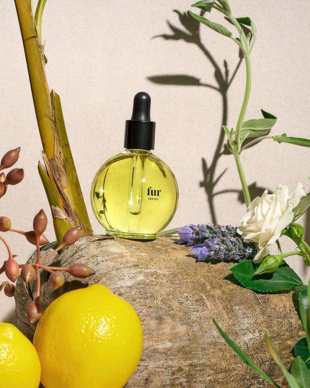 Fur Oil - Clean, Natural Hydrating Body and Facial Hair Oil by Fur – Credo