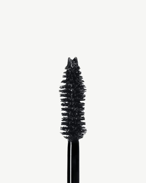 Spectator Sport Mascara – Credo
