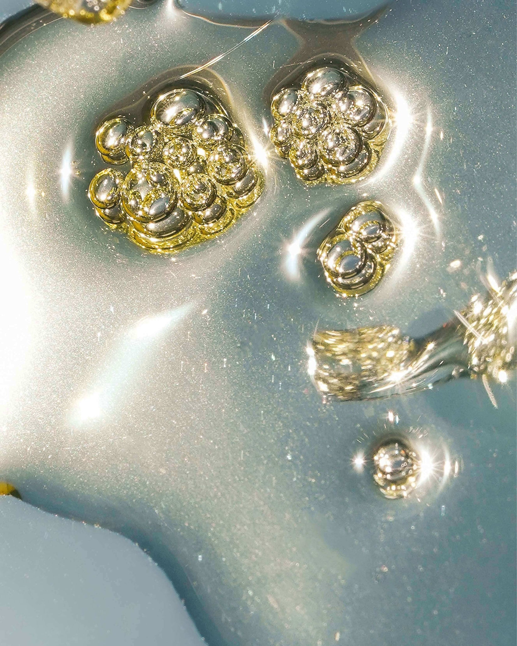 MARA Algae + Moringa Universal Face Oil - Clean, Natural Face Oil – Credo