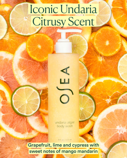 Undaria Algae Body Wash – Credo