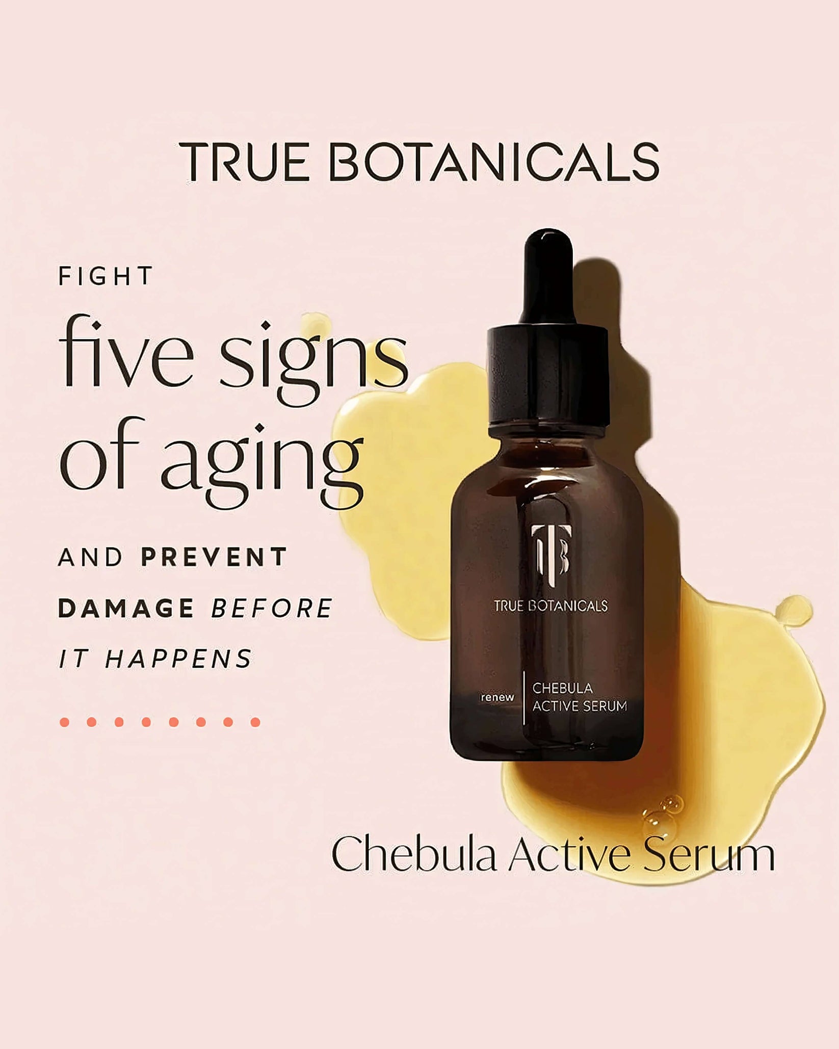 Renew Chebula Active Serum – Credo