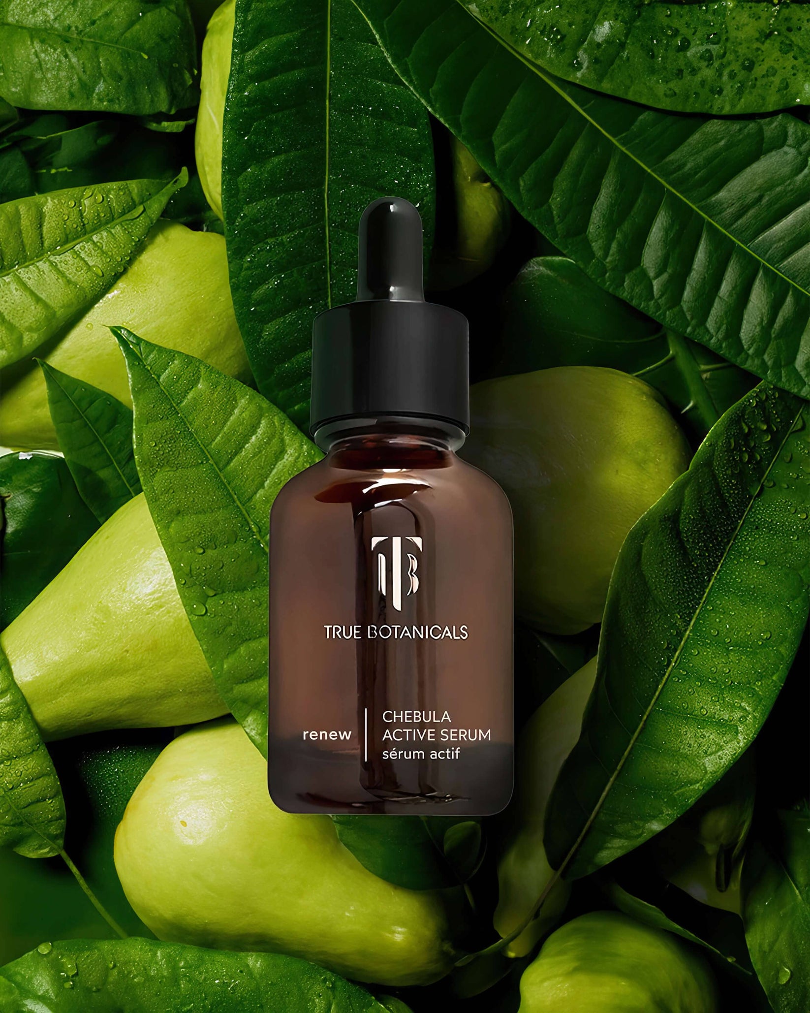 Chebula Active Anti-Aging Serum – Credo