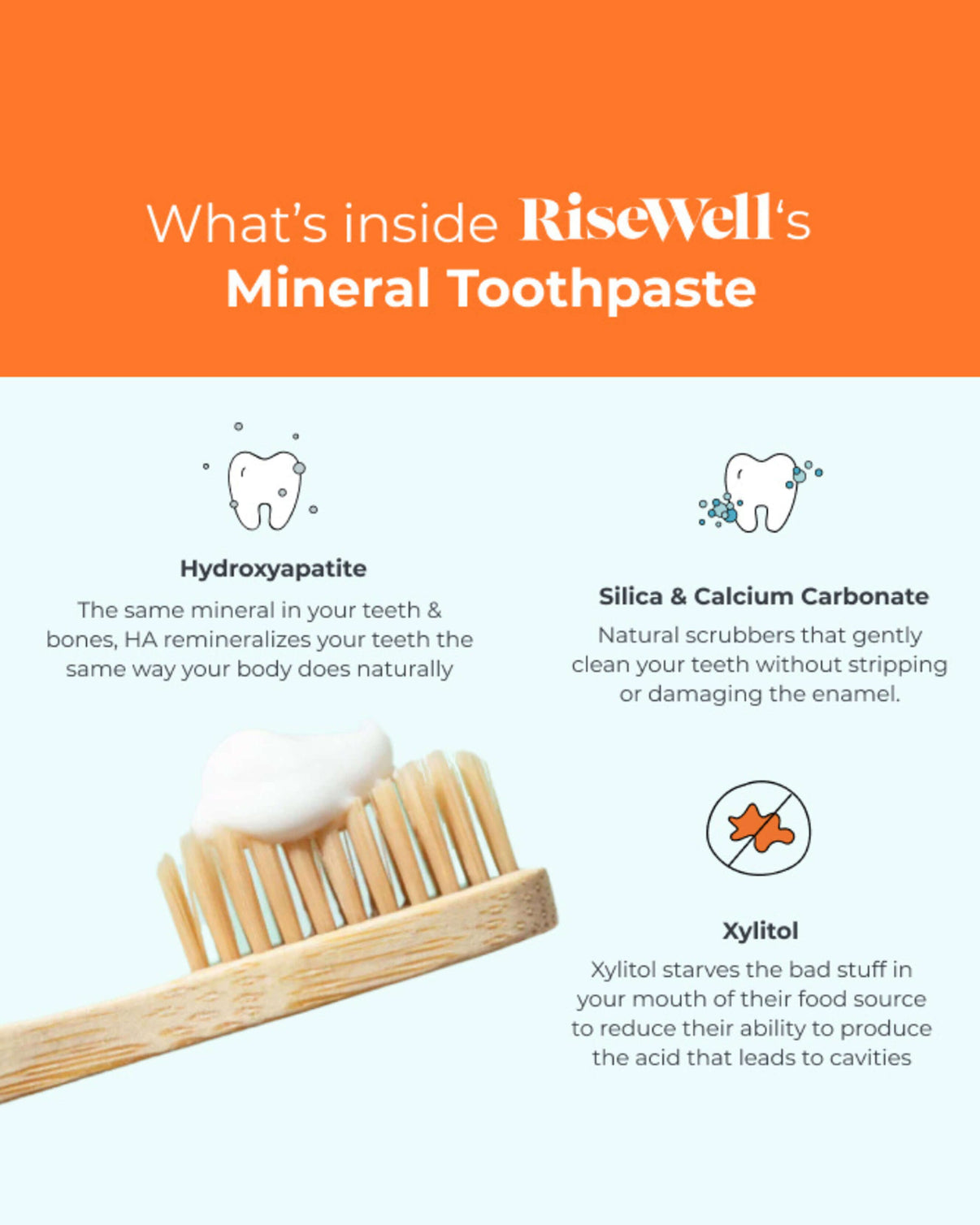 Shop Natural Hydroxyapatite Toothpaste – Credo Beauty