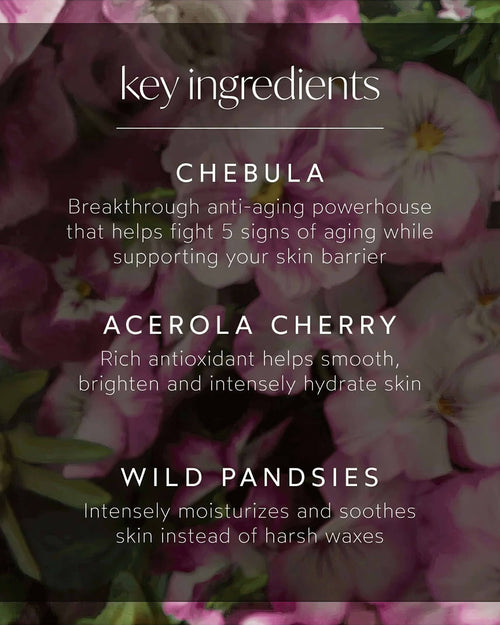 Chebula Extreme Moisture Cream – Credo