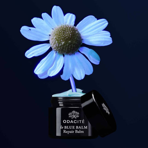 le Blue Balm – Credo