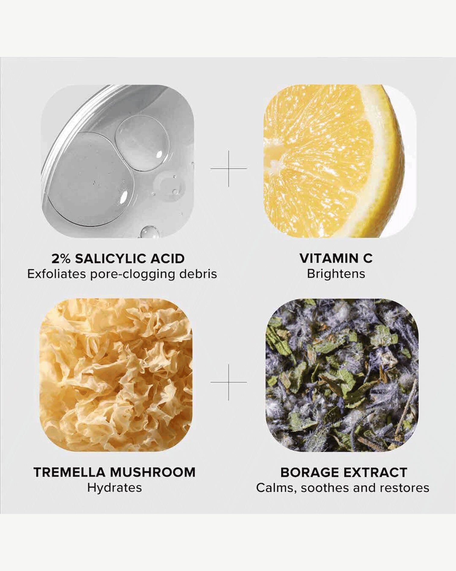 Alpyn Beauty Pore Perfecting Liquid with 2% BHA + Borage | Credo