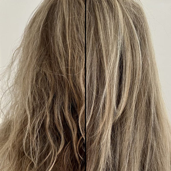 The Mane Agent – Credo